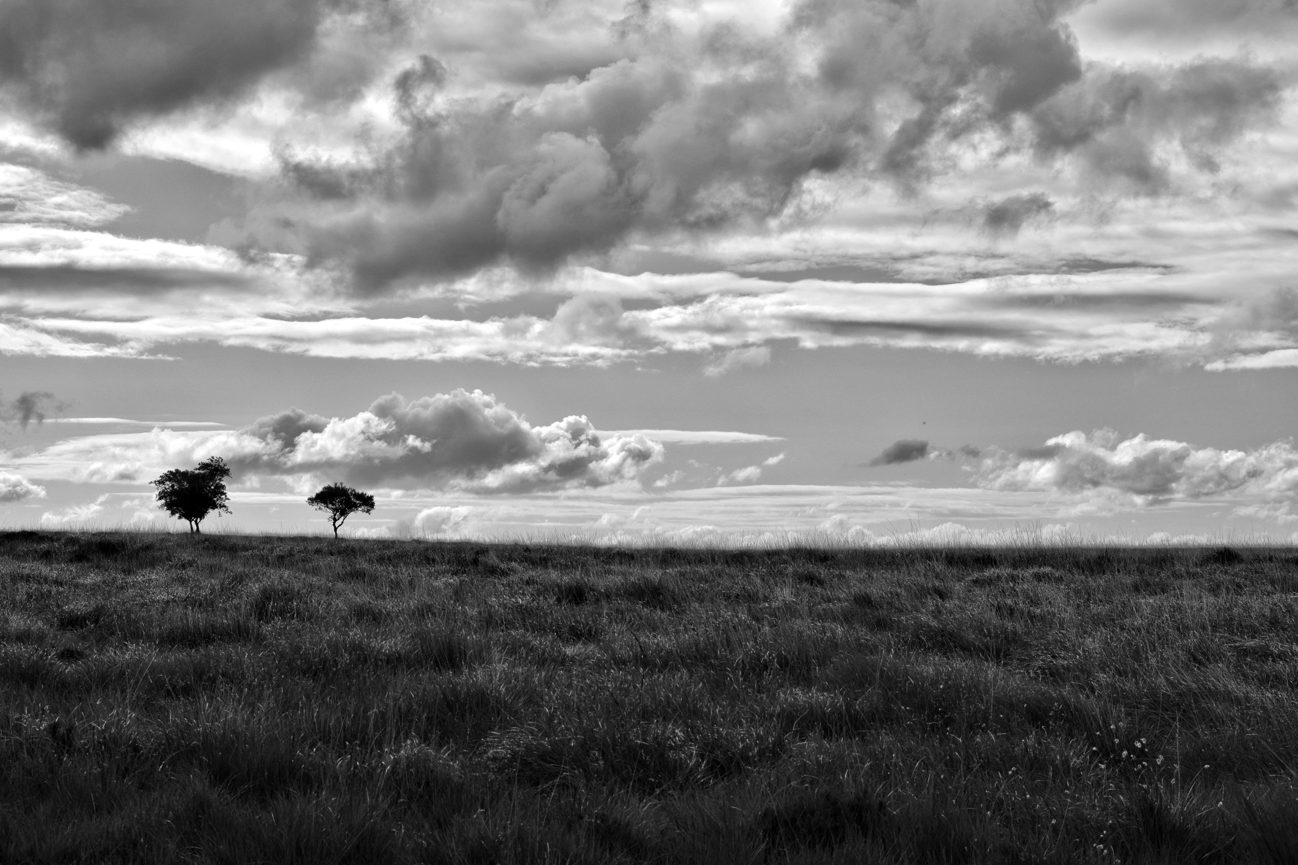 Big Moor – Adventure Photography