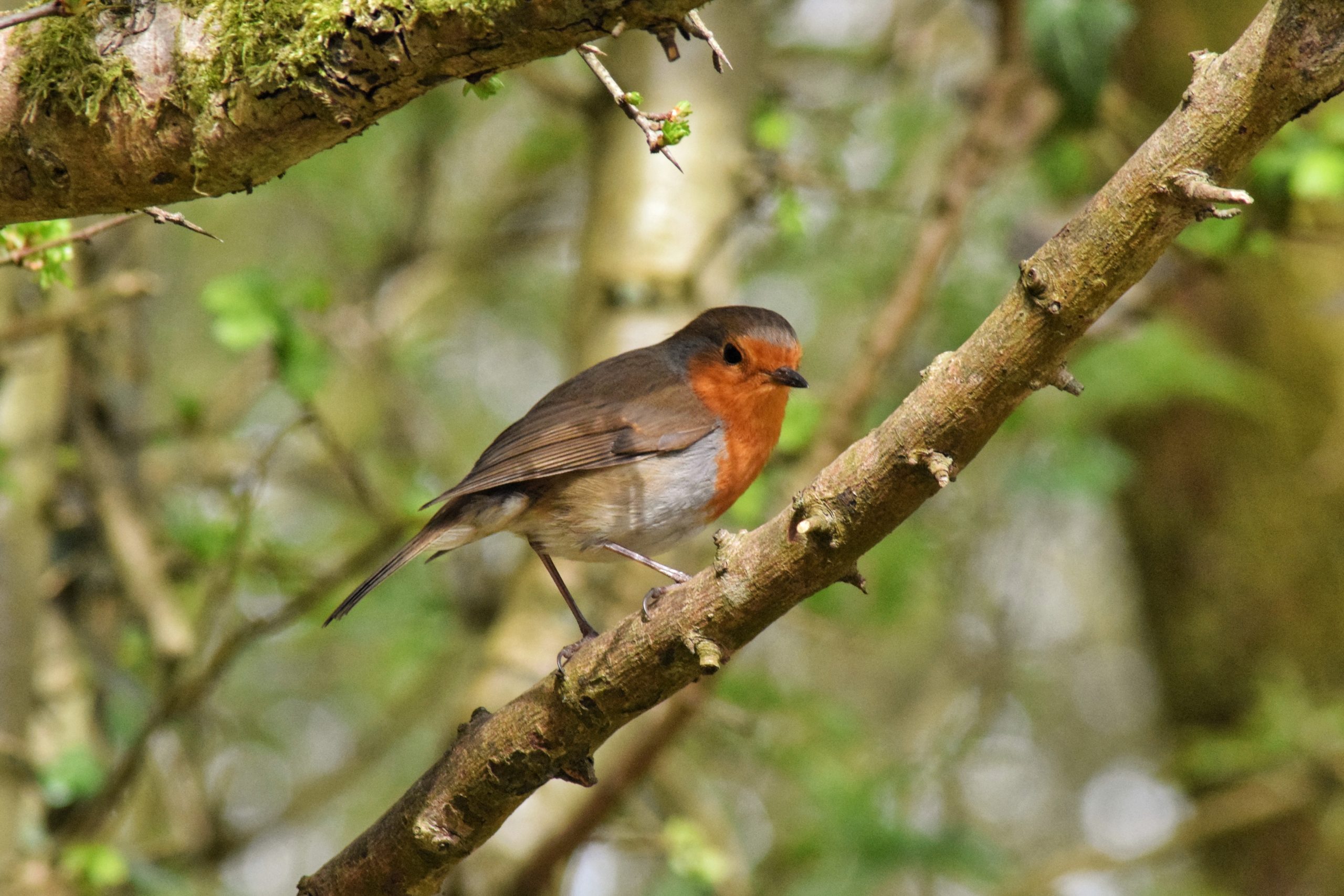 The River Hamps – Adventure Photography